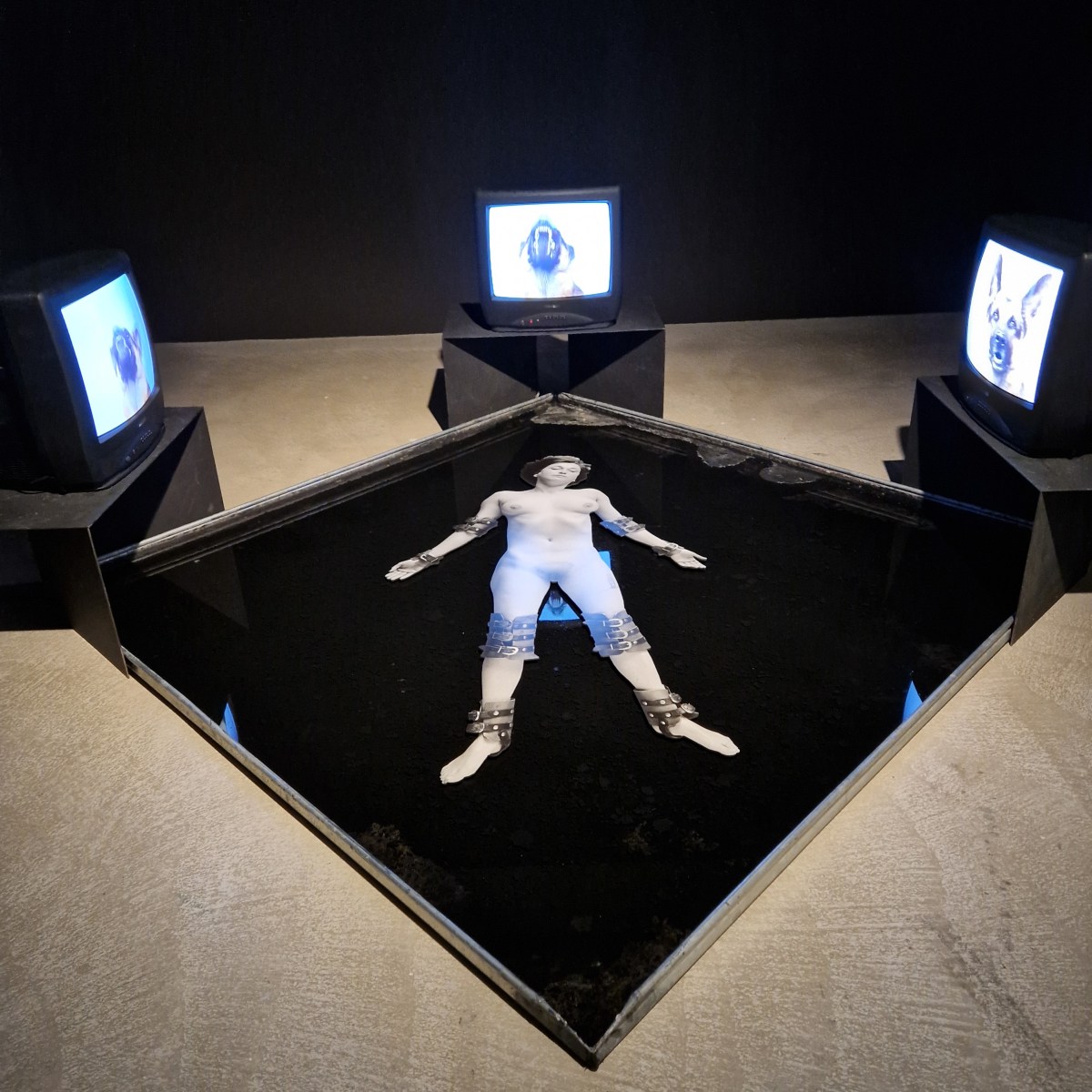 VALIE EXPORT: Kunst als Patriarchatskritik – Creative Brain